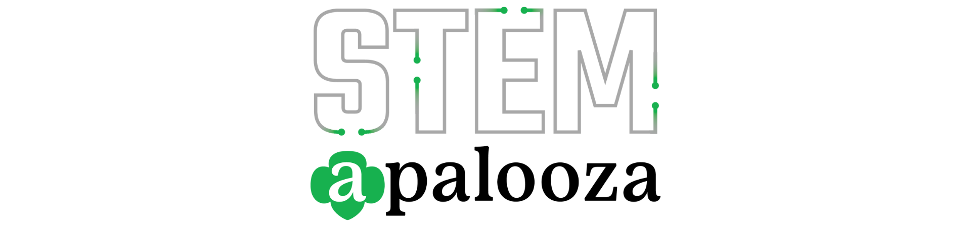 STEMapalooza